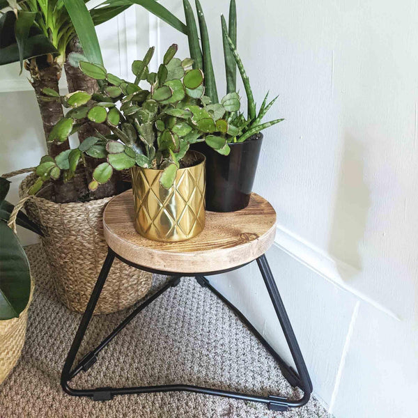 Reclaimed Handmade Wood Plant Stools | Natural Elegance | Free Shipping ...